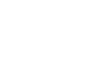 Edwin Academy